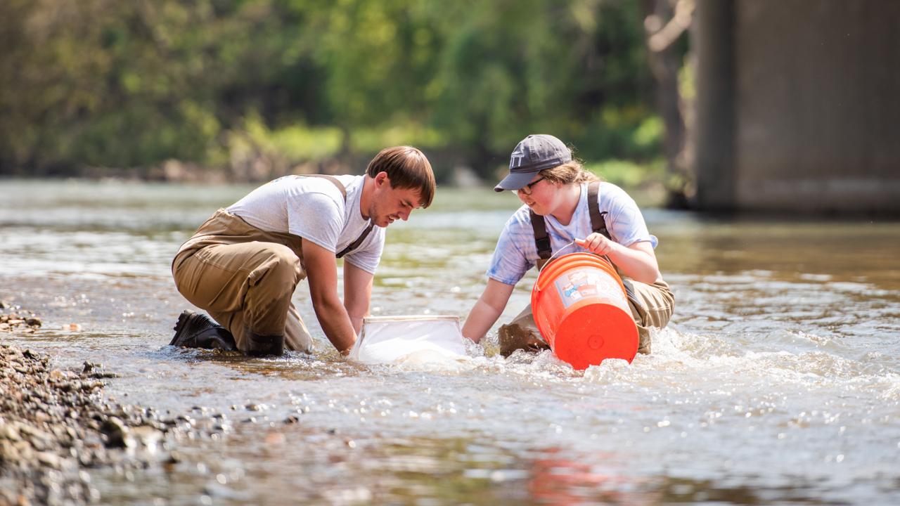 Aquatic And Fishery Sciences