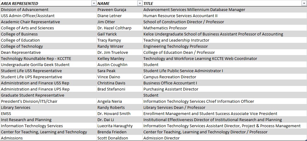 Information Technology Council